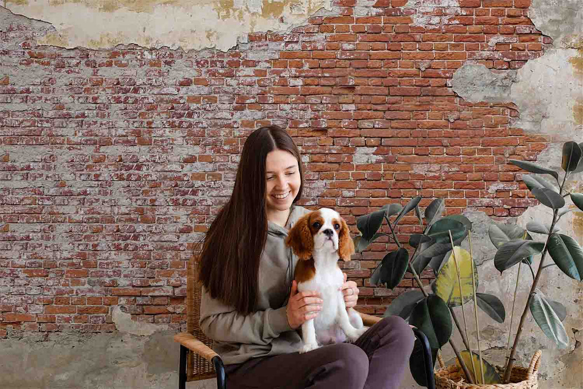 3D Brick Concrete Red Rectangle Wall Mural Wallpaper YXL 2654 ...