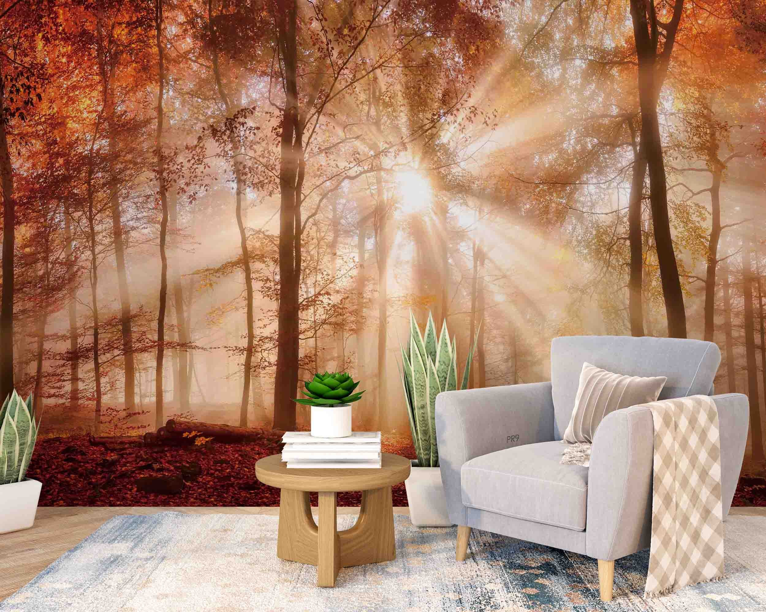 3D Forest Trees Misty Morning Sun Sunshine Wall Mural Wallpaper GD 471 ...