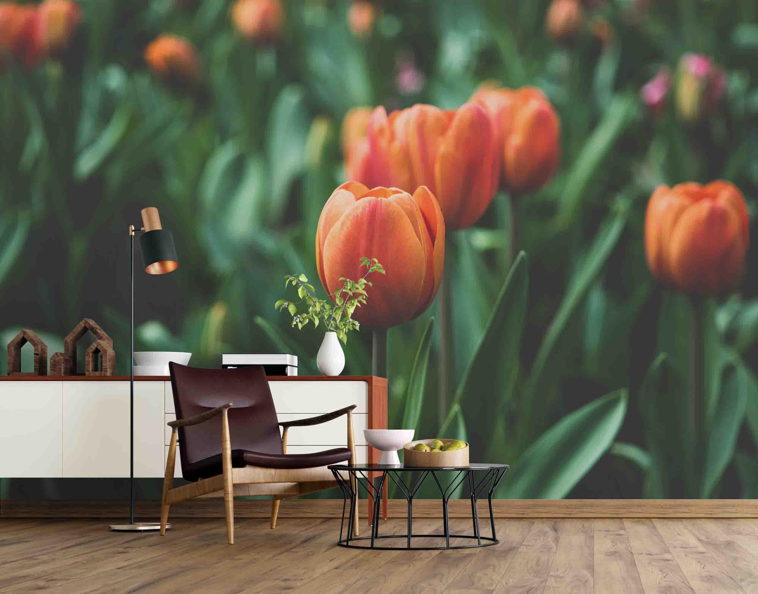 3D Tulip Flowers Wall Mural Wallpaper SF77 – Jessartdecoration