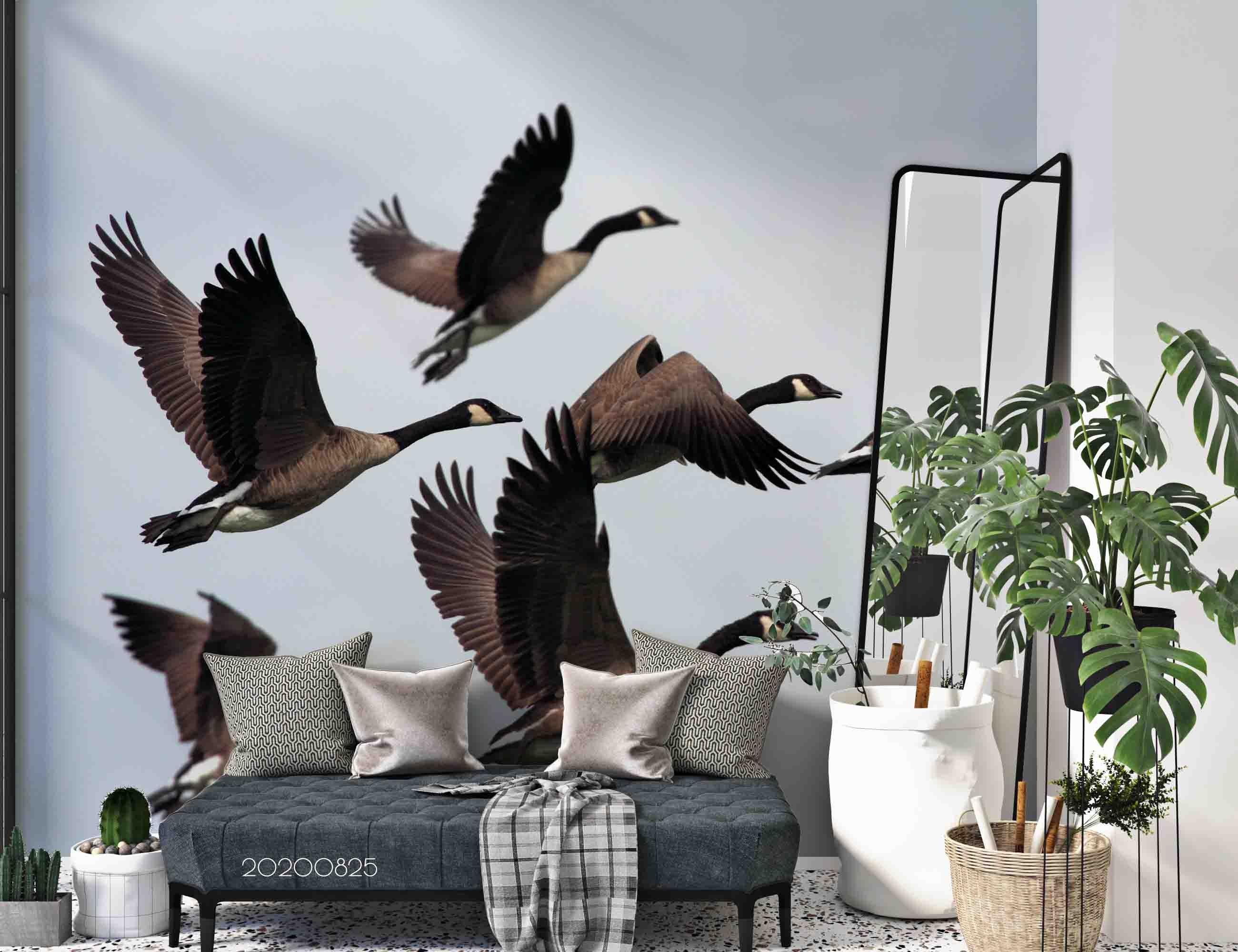3D Sky Animal Grey Wild Goose Wall Mural Wallpaper LQH 51 ...