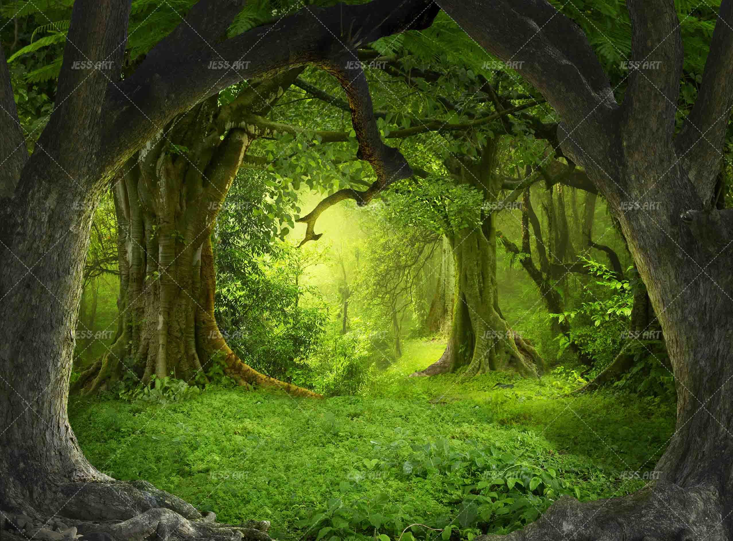 large tree wallpaper mural